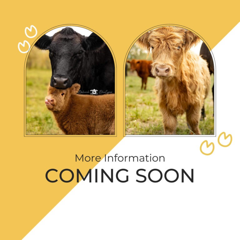 Our Story - Fold of Liberty Farms - A regenerative agriculture experience.